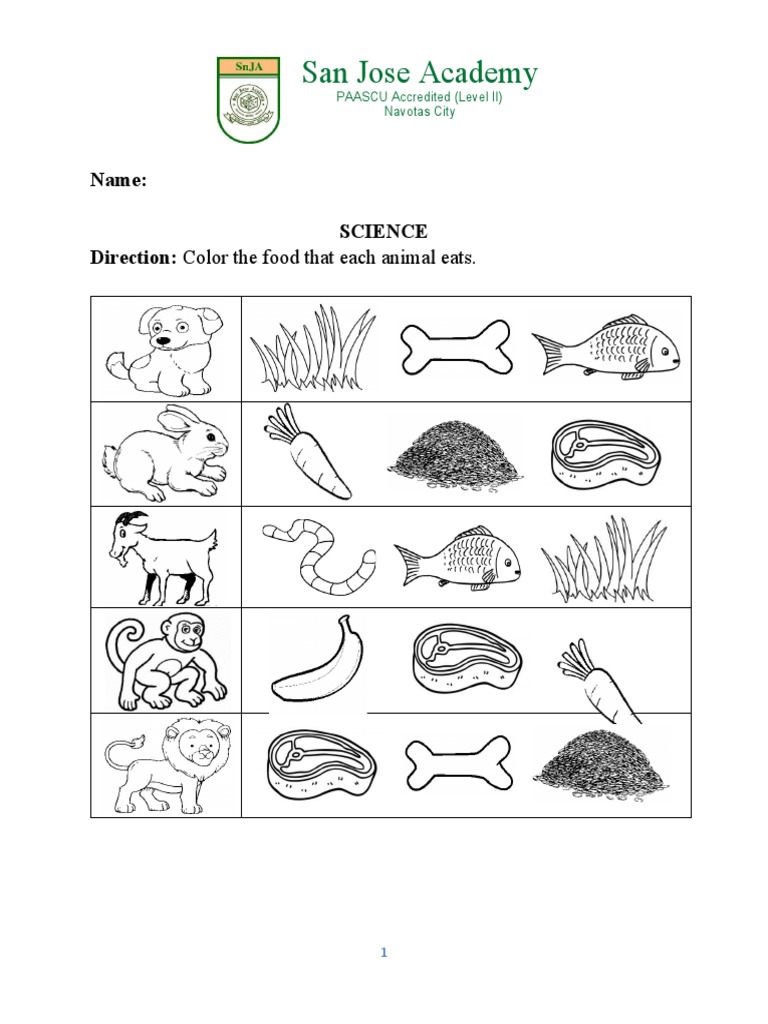Animal Food WOrksheets | PDF