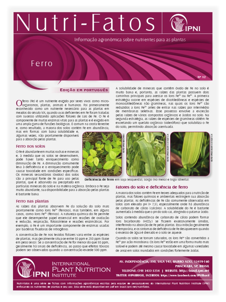 Ferro | PDF | Ferro | Solo