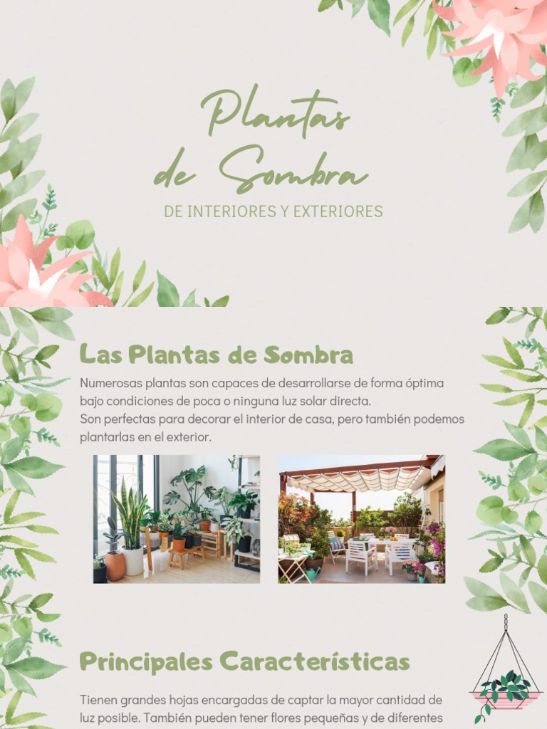 Plantas de Sombra: de Interiores Y Exteriores | PDF | Fertilizante ...