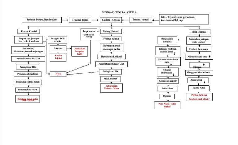 PDF Pathway Cedera Kepala - Compress | PDF