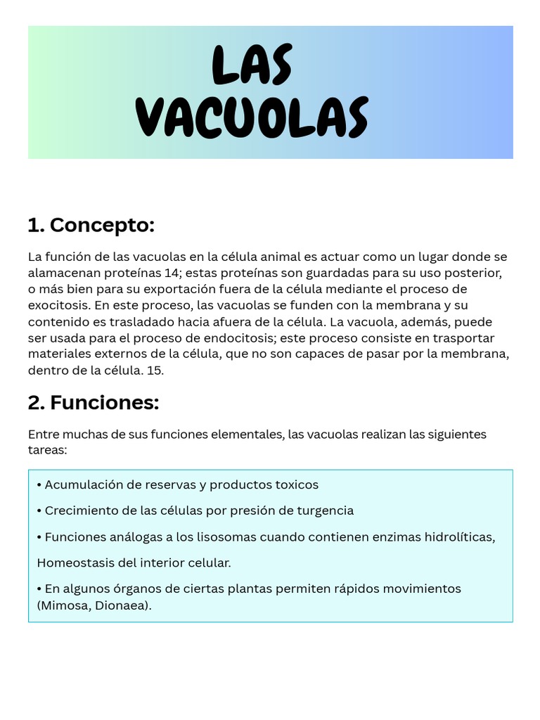 Funciones de las Vacuolas en Células Animales | PDF | Ciencia y matemáticas