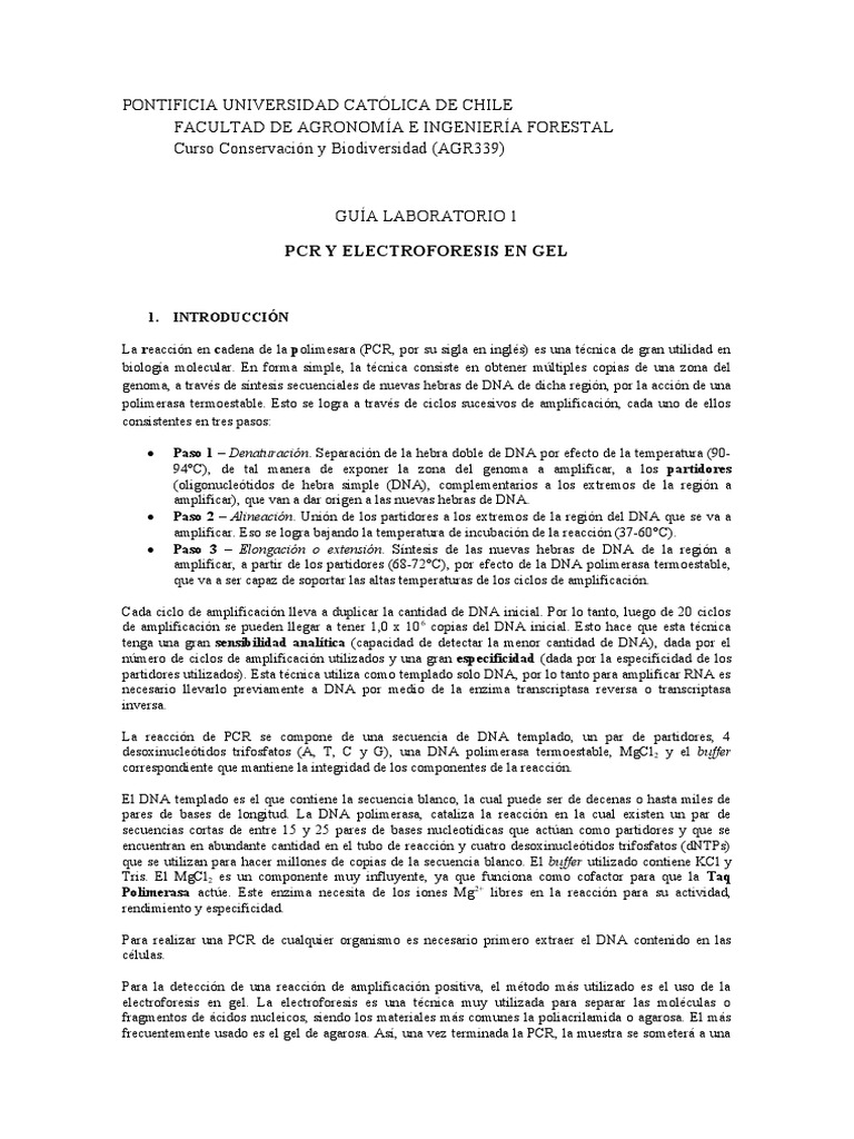 Guía - Práctico Laboratorio PCR y Electroforesis | PDF | Reacción en cadena de la polimerasa | Adn