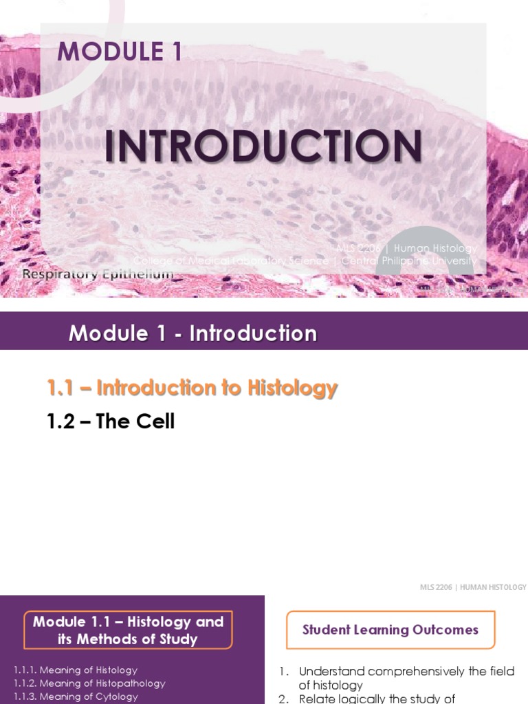 Introduction to Human Histology | PDF | Epithelium | Cell Signaling