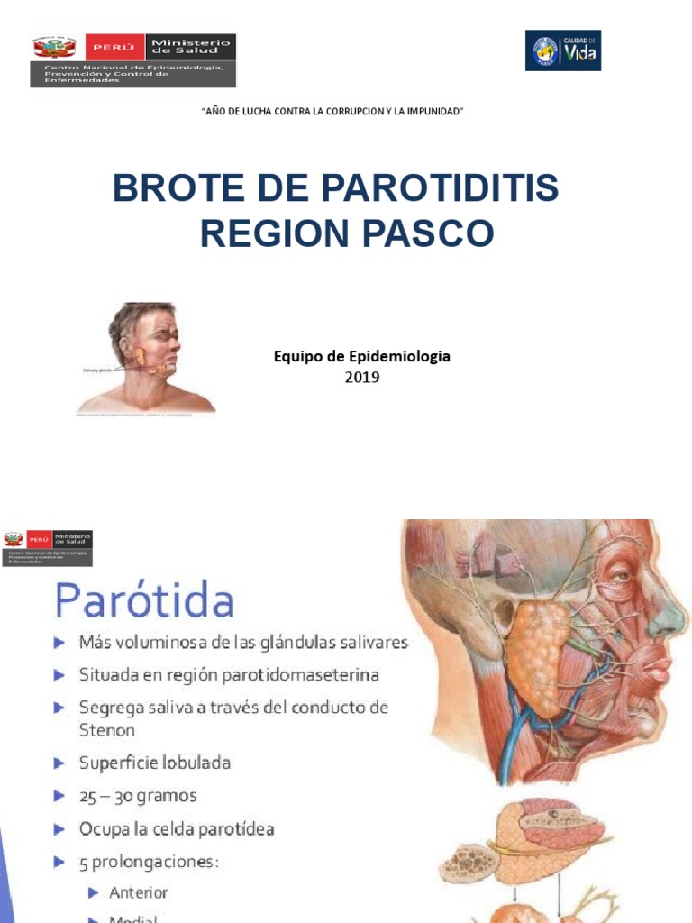 Brote de Parotiditis Region Pasco | PDF | Cuidado de la salud ...