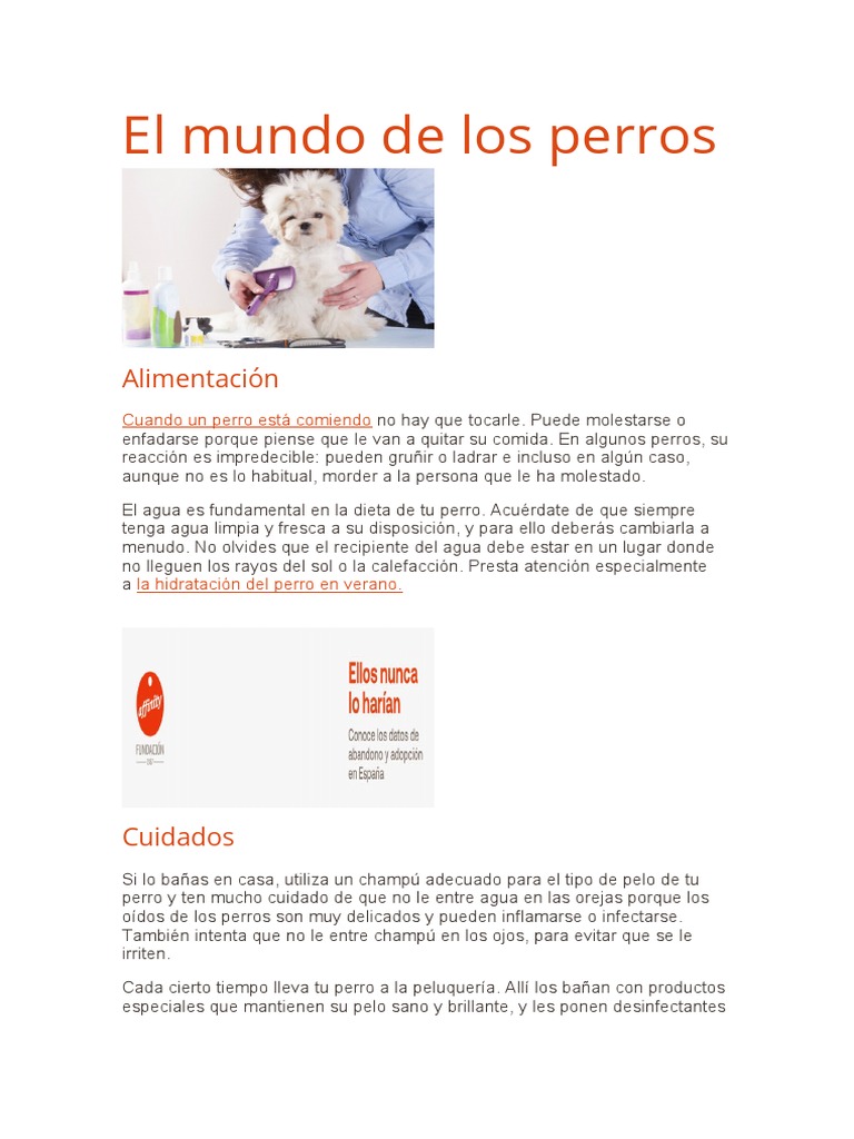 El Mundo de Los Perros | PDF