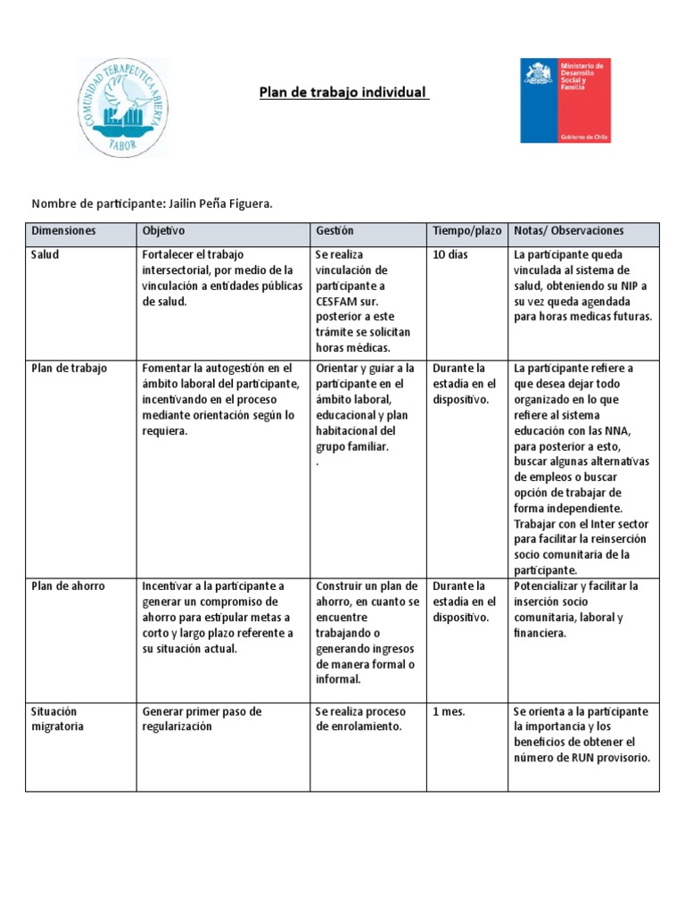 Plan de Trabajo Individual Jailine | PDF | Economias