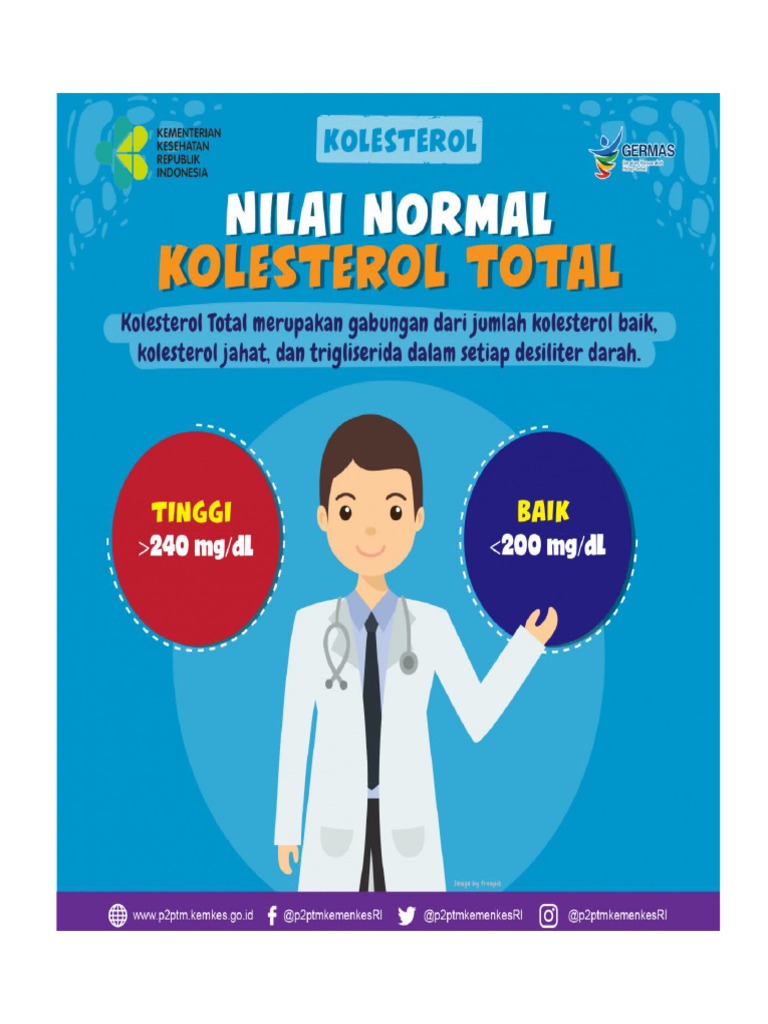Kolesterol | PDF