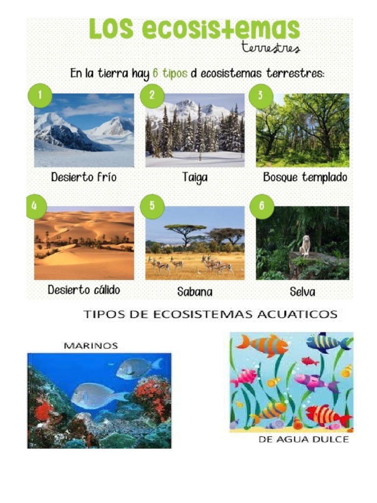 Tipos de Ecosistemas | PDF