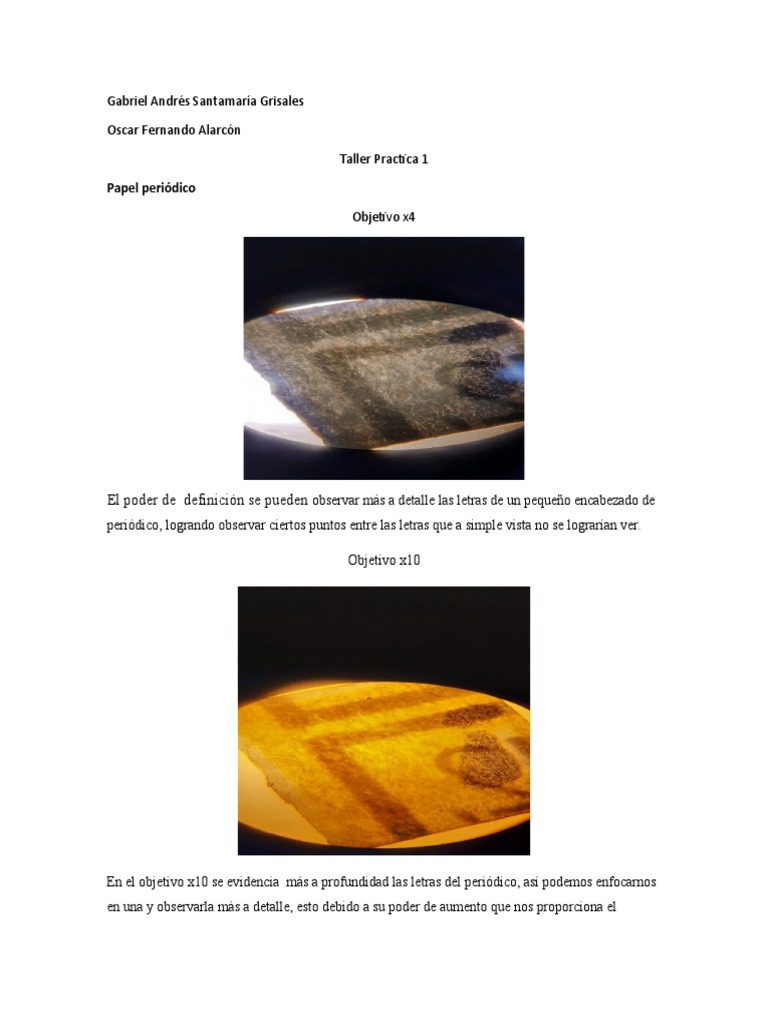 Practica Microscopio | PDF