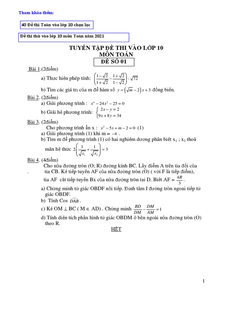 21 de Thi Vao Lop 10 Mon Toan | PDF