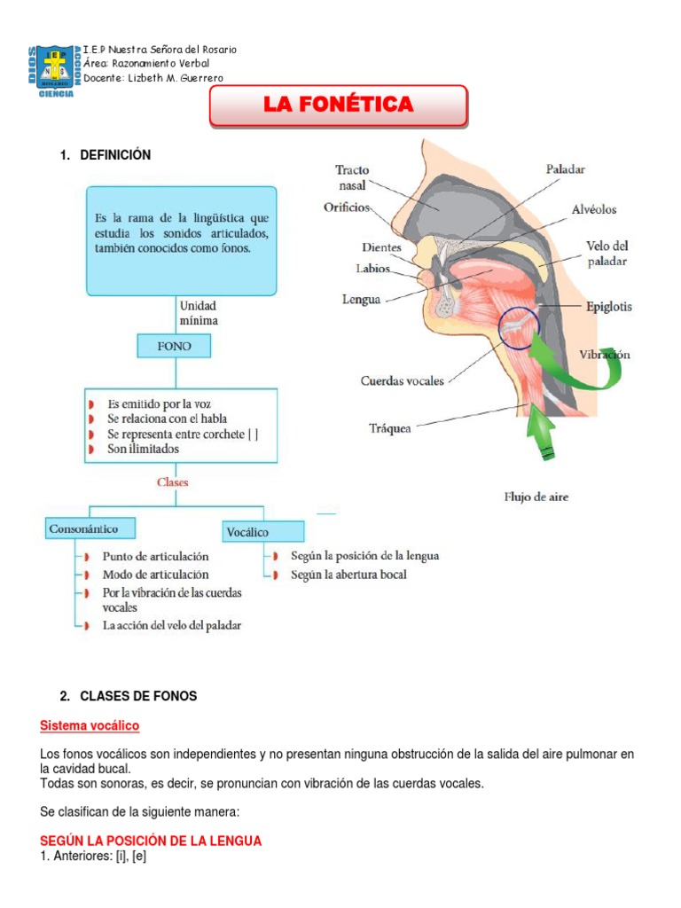Fonética Pdf Fonética Lingüística