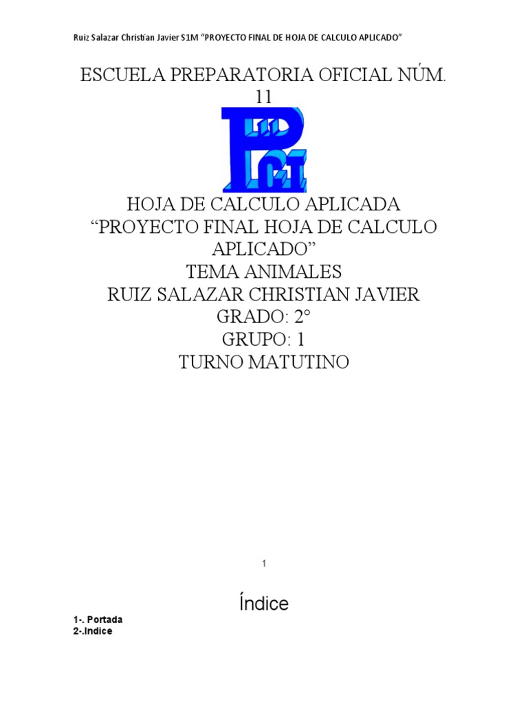 Proyecto Final (Escrito) | PDF | Microsoft Excel | Macro (informática)