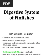 Endocrine System of Fish | PDF | Luteinizing Hormone | Endocrine System