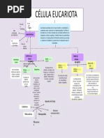 Mapa Conceptual Celula Eucariota | PDF | Biología Celular) | Biología Celular