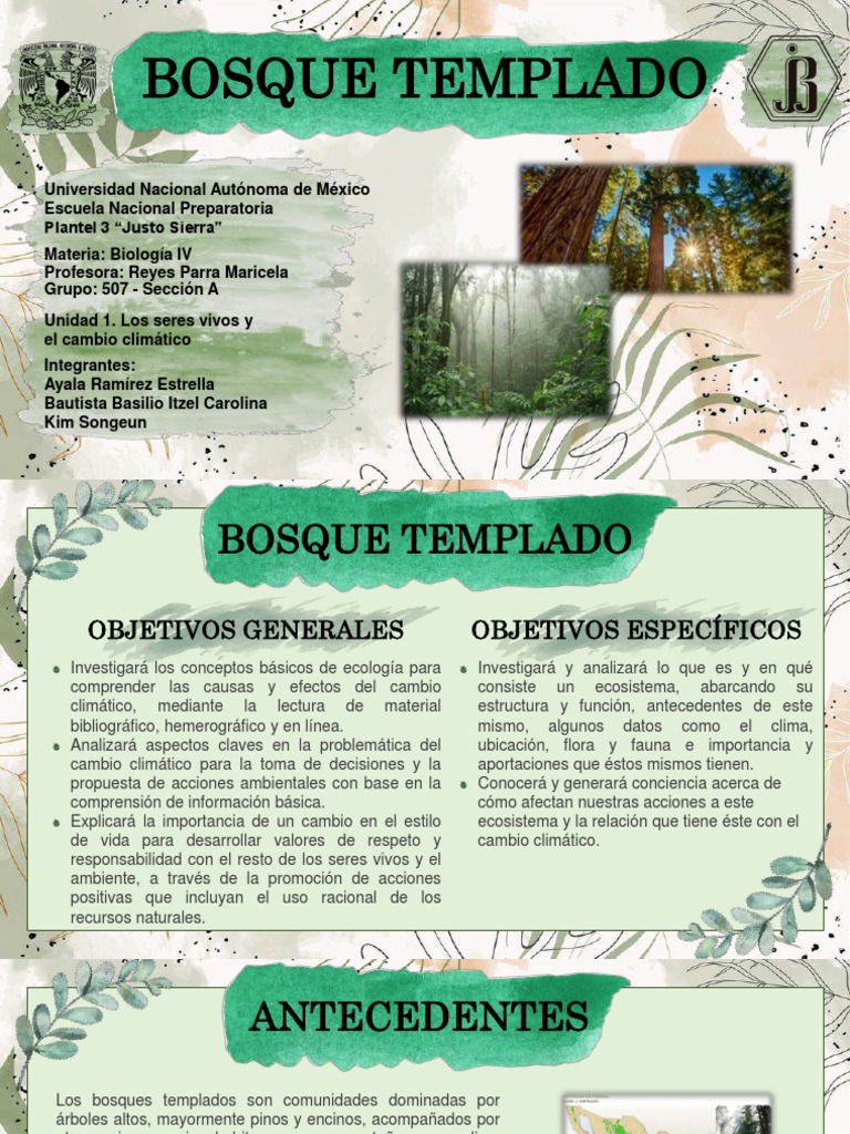 Bosque Templado | PDF | Los bosques | Agua