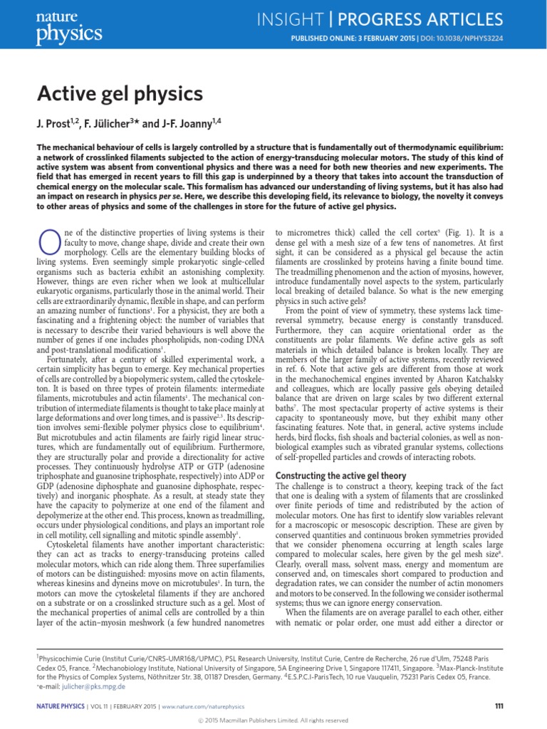 Active Gel Physics: J. Prost, F. Jülicher and J-F. Joanny | PDF | Actin ...