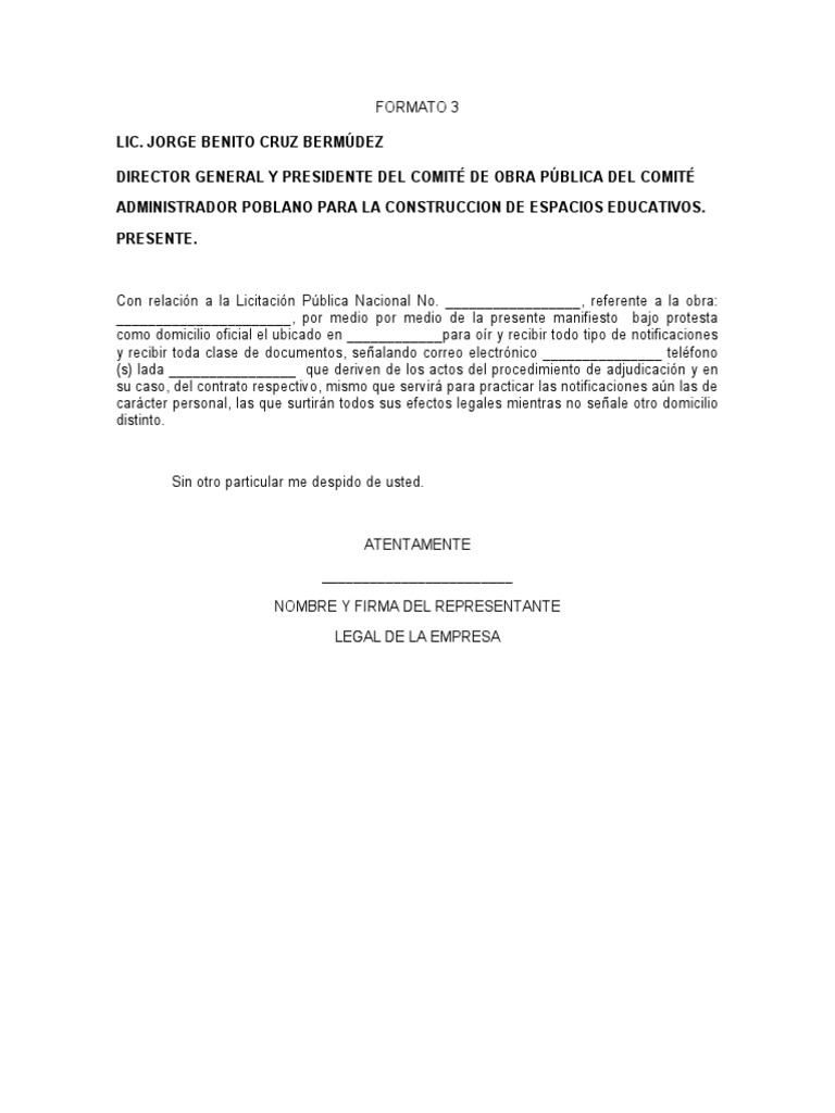 Formato 3 | PDF