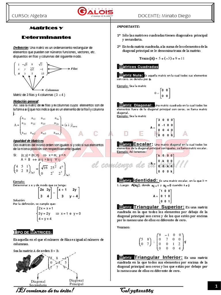 Matrices Teoria y Ejercicios | PDF | Matriz (Matemáticas) | Matemáticas