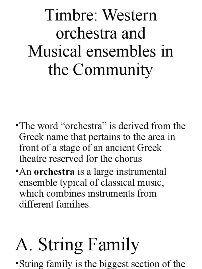 Timbre | PDF | String Instruments | Musical Instruments