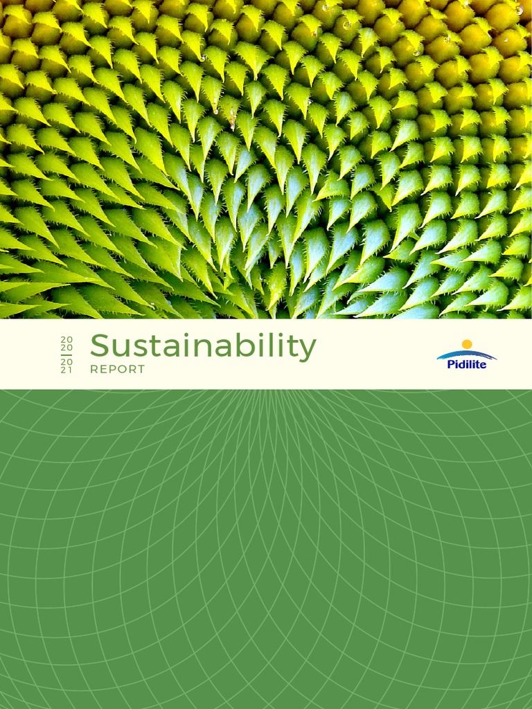 Sustainability Report 2020 21 | PDF | Sustainability | Recycling