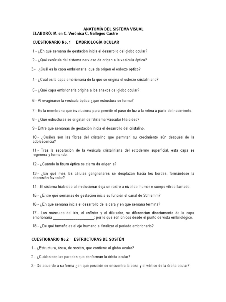 Cuestionarios 1 y 2 Anatomia Del Sistema Visual | PDF | Ojo humano | Anatomía