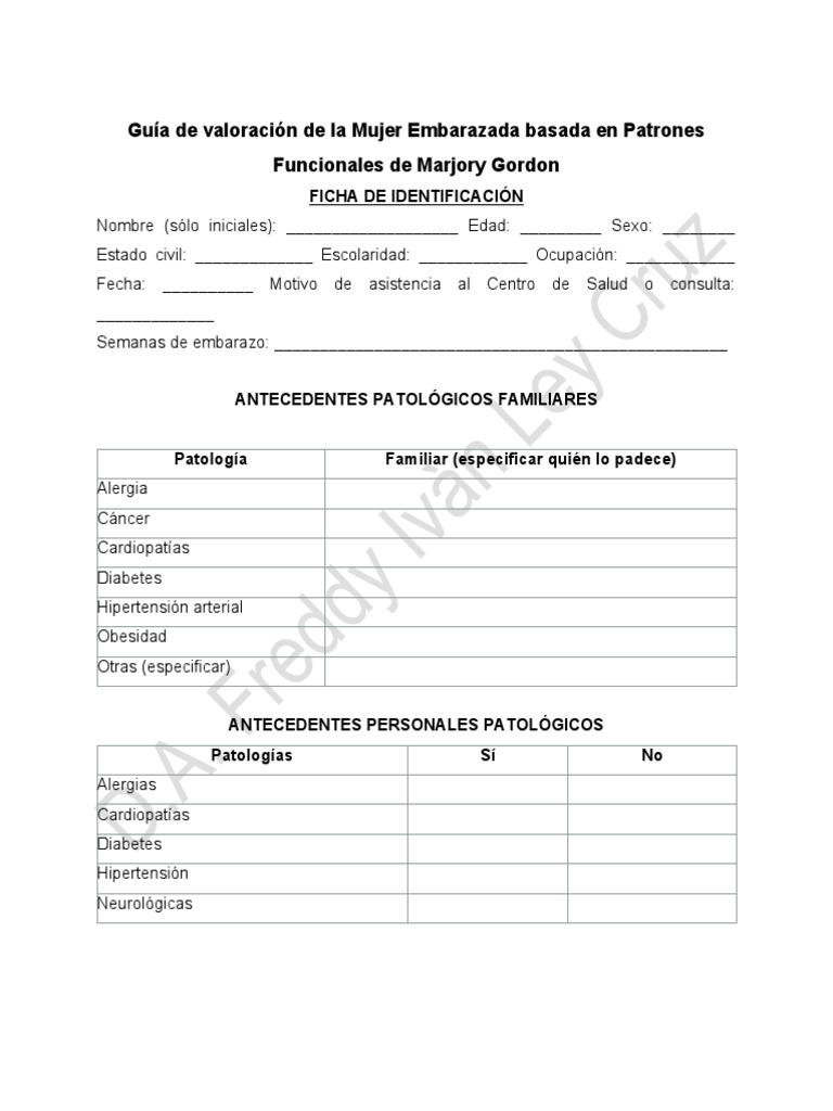 Guía de Valoración de La Mujer Embarazada Basada en Patrones ...