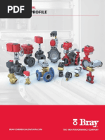 Bray S30 - 31 - 31H Catalogue | PDF | Valve | Screw