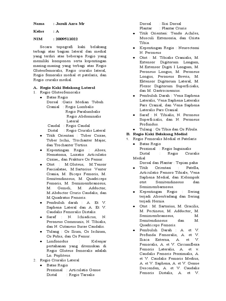 Jazuli Azra MR - 2009511022 - A Tugas Meringkas Anatomi Topografi Kaki Belakang | PDF | Sains ...