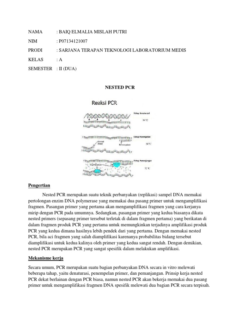 Nested PCR | PDF | Sains & Matematika