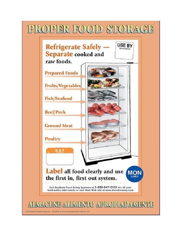 Chiller Storage Poster | PDF