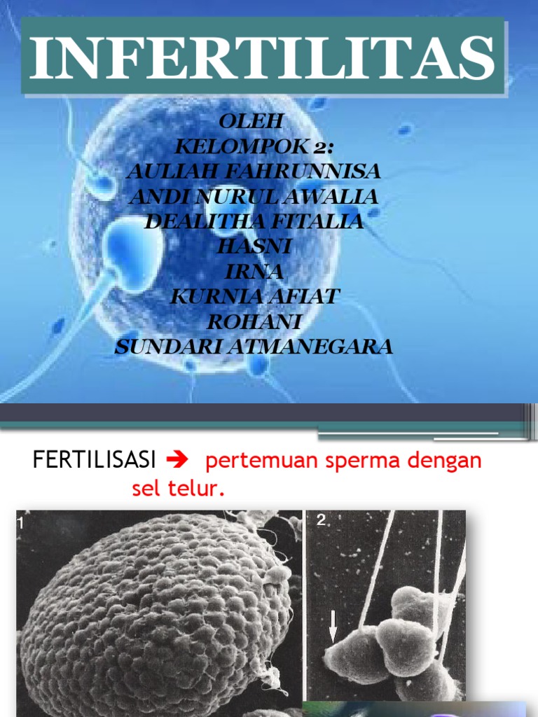 Panduan Infertilitas Pasutri | PDF