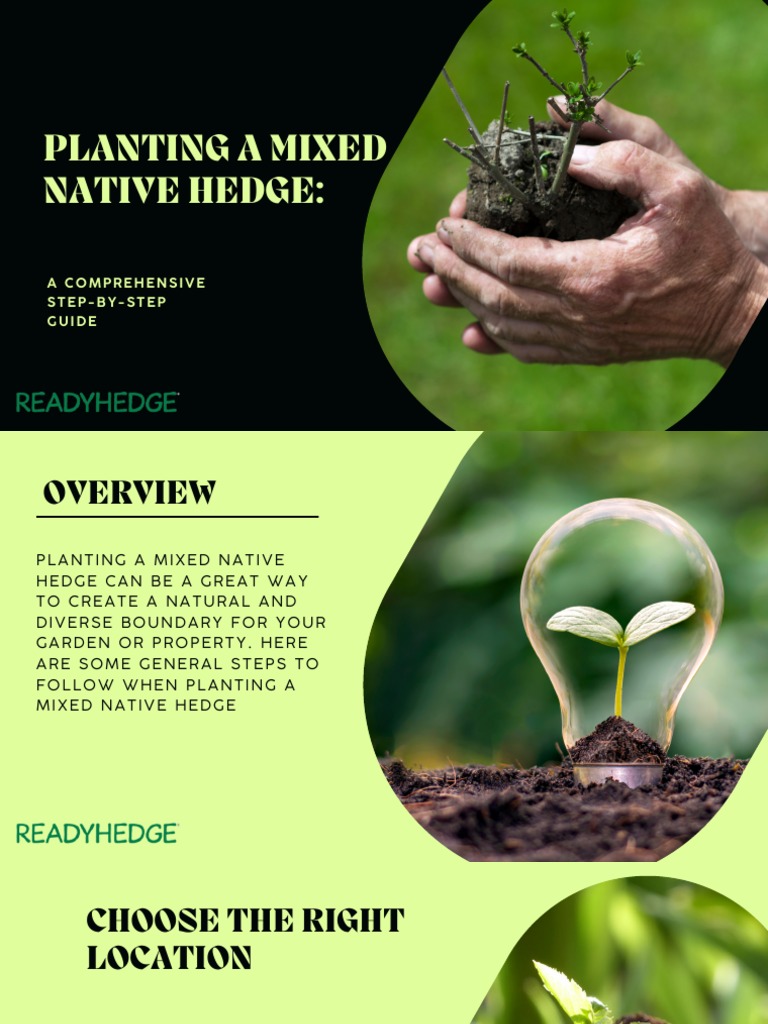 Planting A Mixed Native Hedge:: A Comprehensive Step-By-Step Guide ...