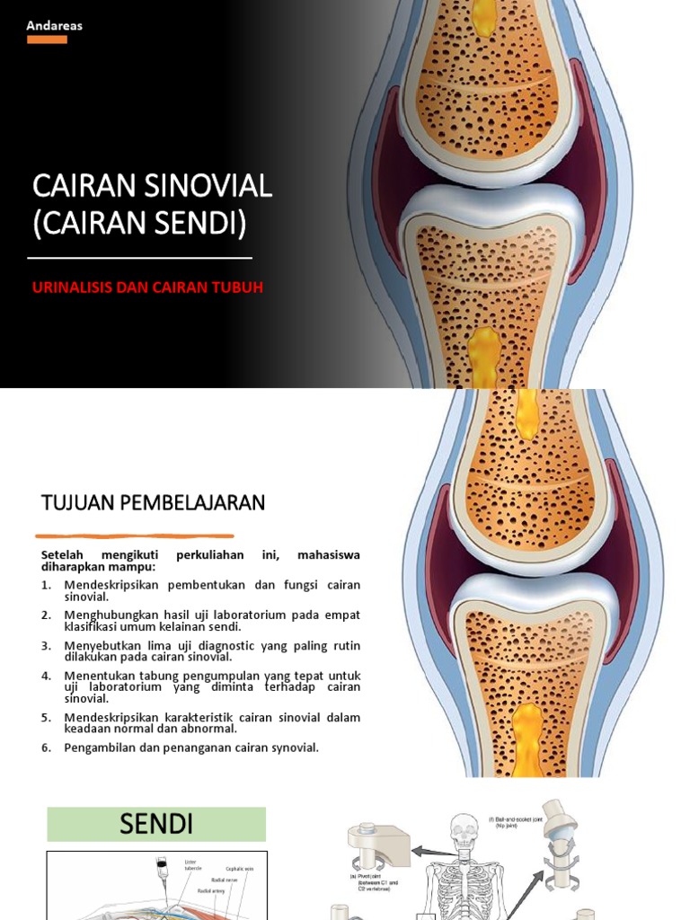 Peran dan Analisis Cairan Sinovial | PDF