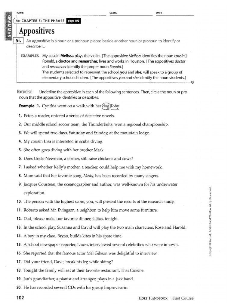 Appositive Phrases 102 To 103 | PDF