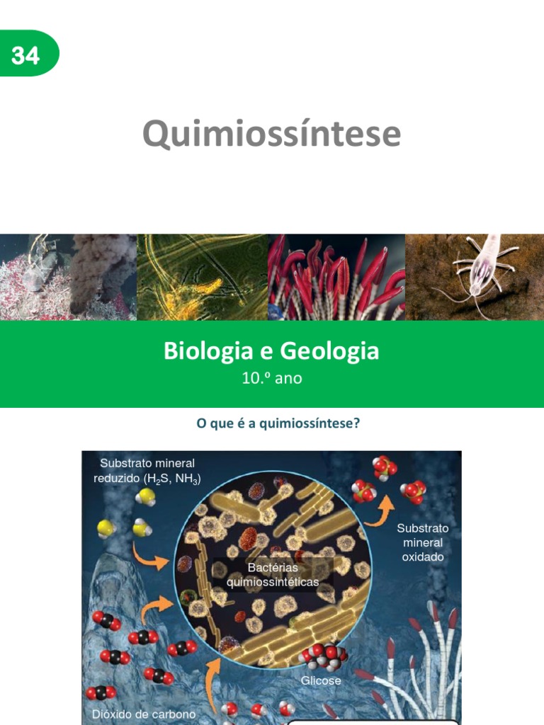 Quimiossíntese | PDF | Química | Biologia