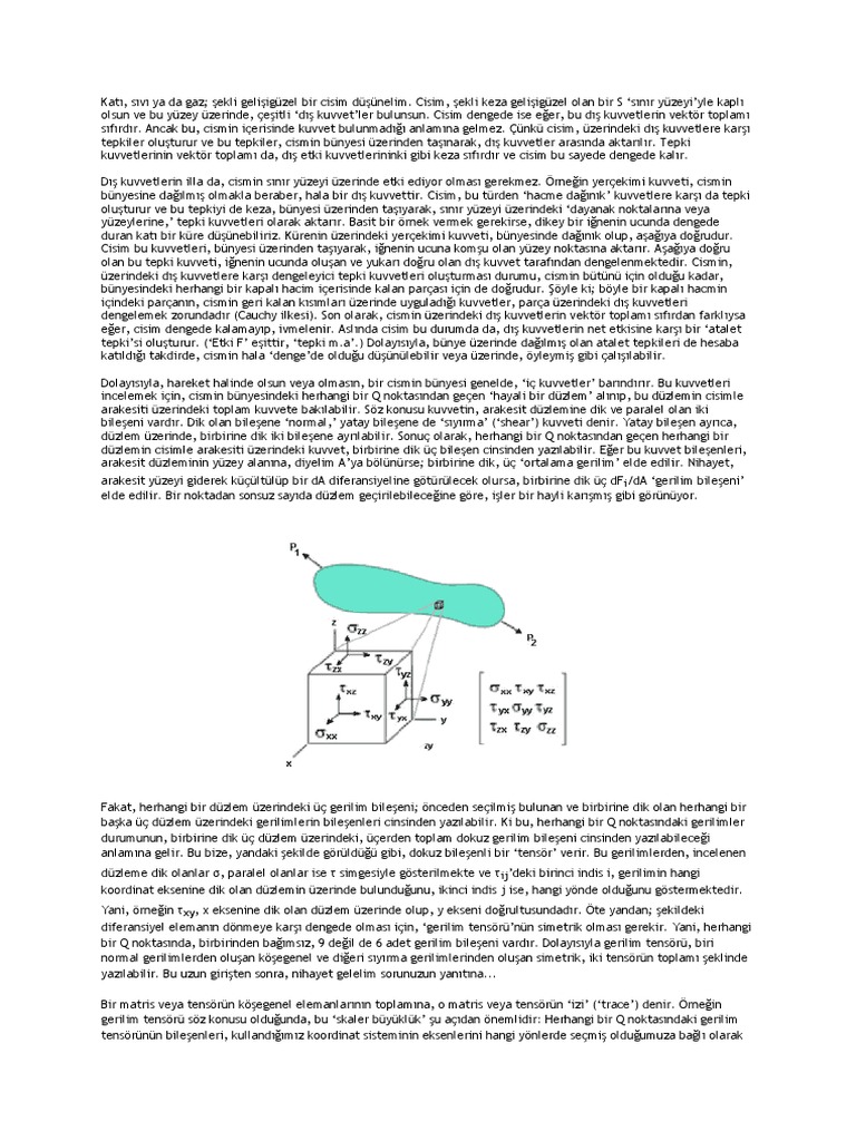 Cauchy Tensor | PDF