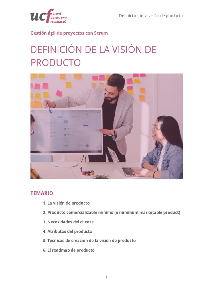 Vision Producto | PDF | Producto (Negocio) | Marketing