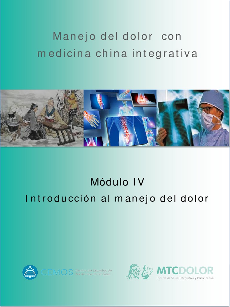 Modulo IV - Introduccion Manejo Dolor | PDF | Qi | Acupuntura