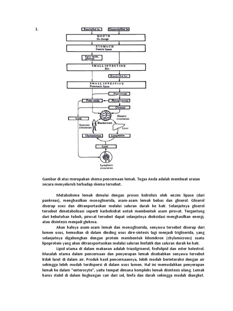 Tugas2 PANG4223 | PDF