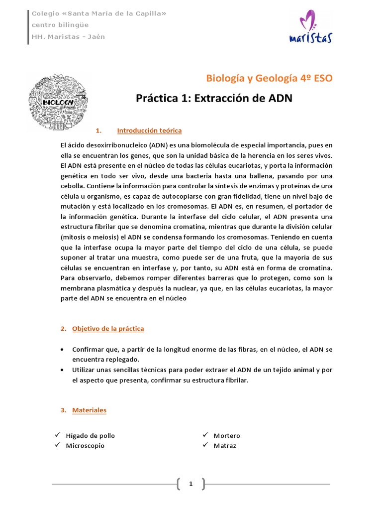Extracción y observación de ADN a partir de tejido animal | PDF | Biología Celular) | Adn