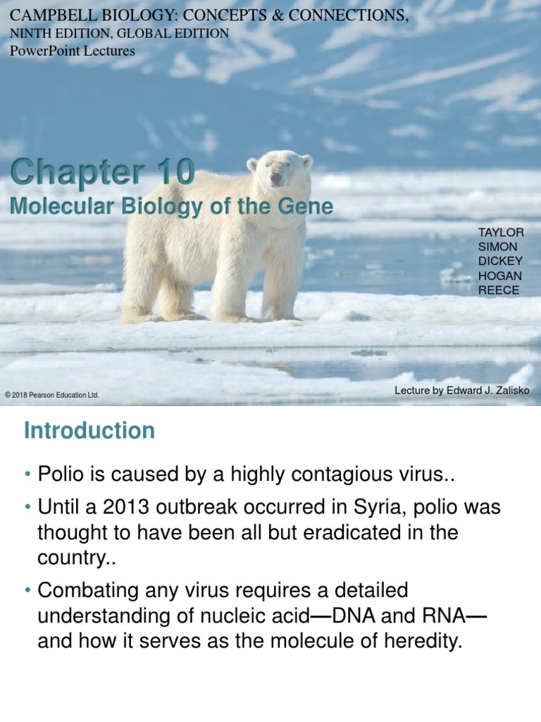 Molecular Biology of The Gene: Powerpoint Lectures | PDF | Translation ...