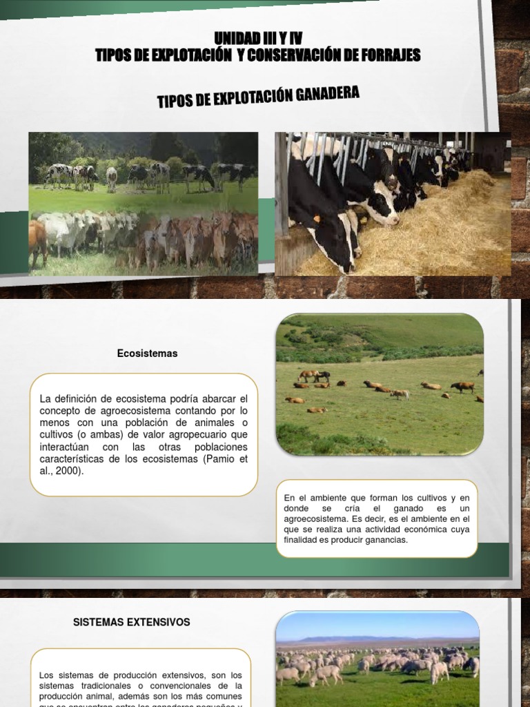Unidad Iii Y Iv Tipos de Explotación Y Conservación de Forrajes | PDF | Pasto | Heno