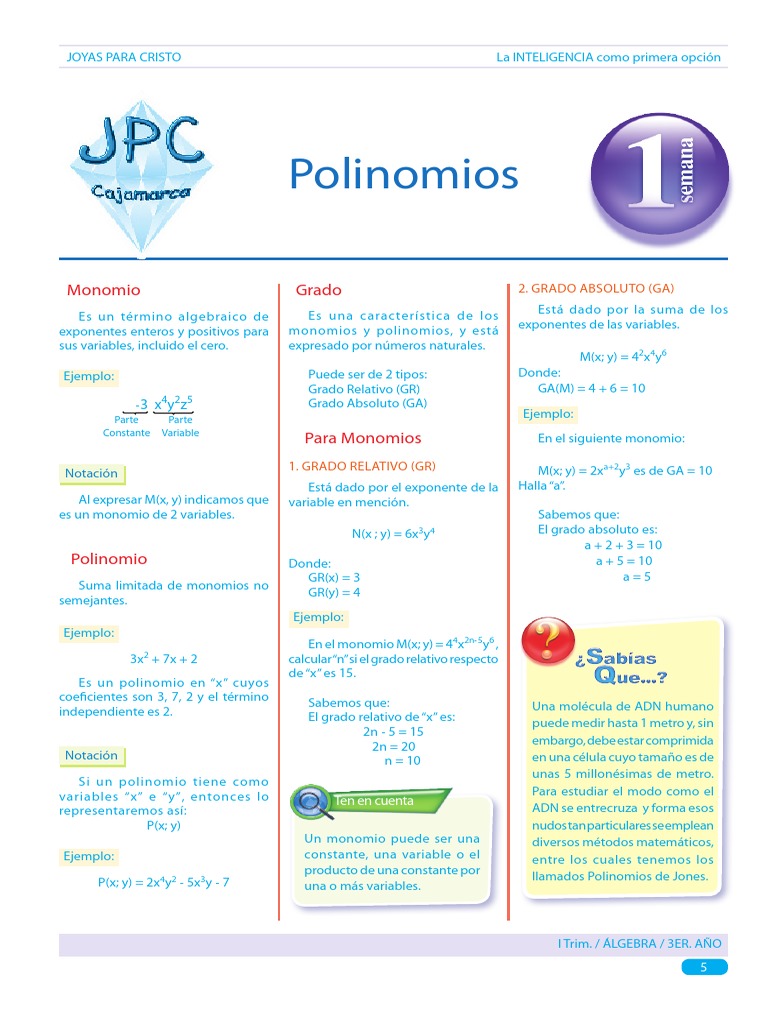 Polinomios | PDF | Álgebra | Álgebra abstracta