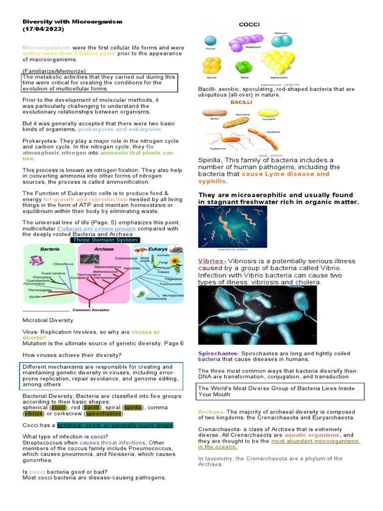 Diversity With Microorganism (NOTES) | PDF | Bacteria | Microorganism