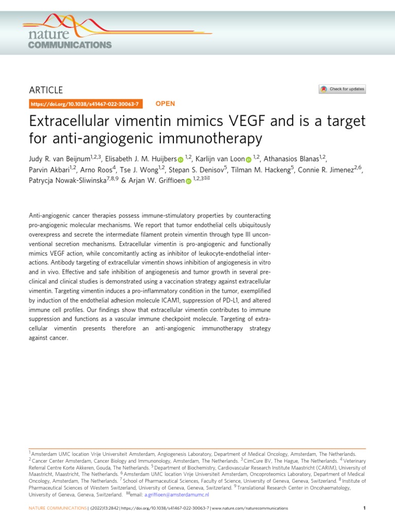 Extracellular Vimentin Mimics VEGF and Is A Target For Anti-Angiogenic ...