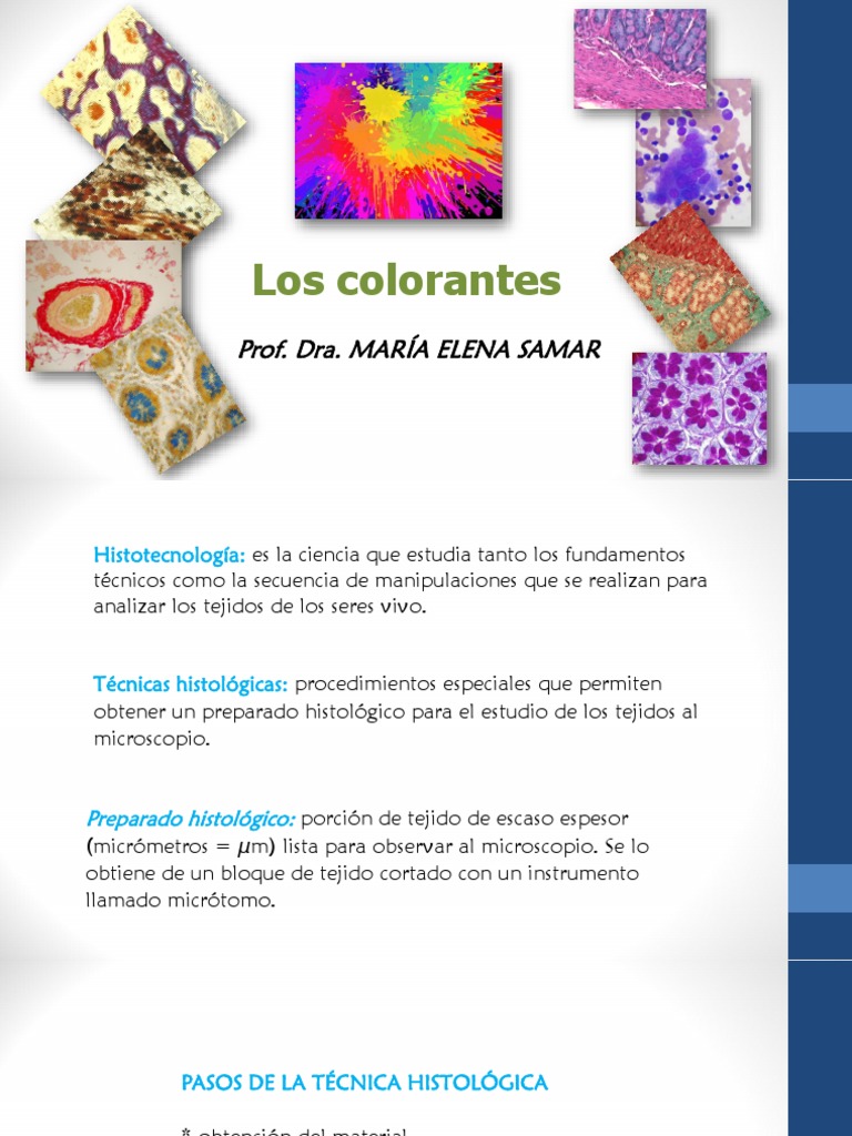 Colorantes Histológicos y Su Uso | PDF | Química | Histología