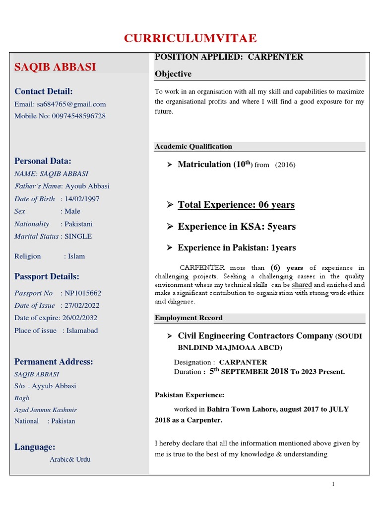 saqib CV | PDF