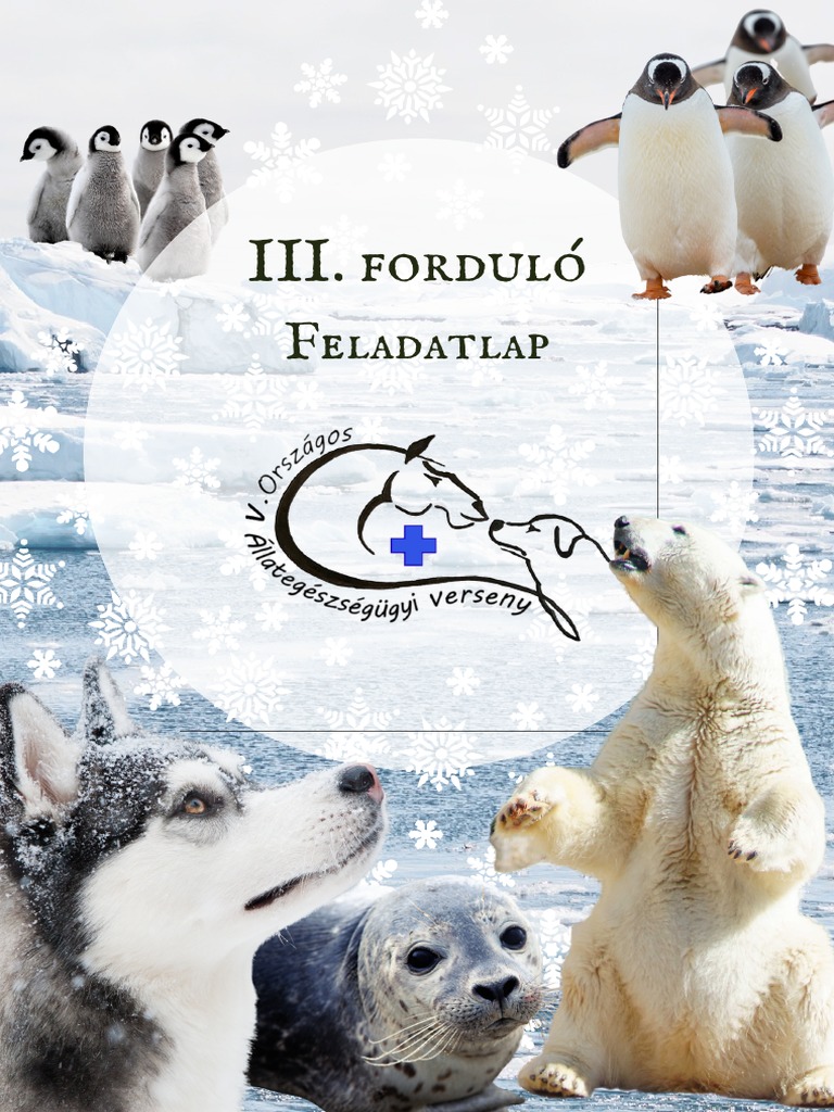 Forduló Feladatlap | PDF