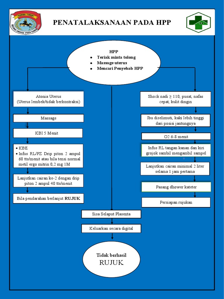 Penatalaksanaan Pada HPP: Rujuk | PDF