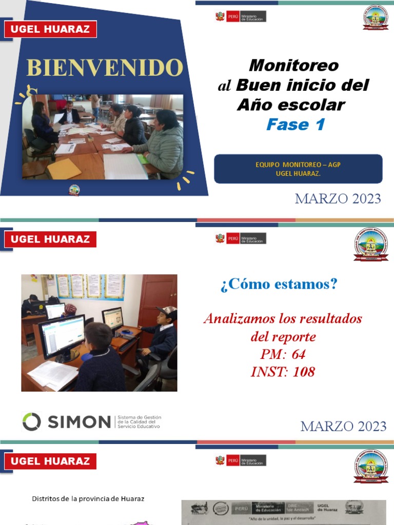 Monitoreo BIAE: Resultados y Sugerencias | PDF